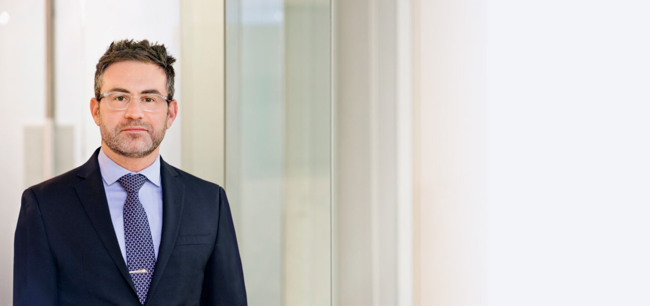 Joshua Krefetz - Ligris